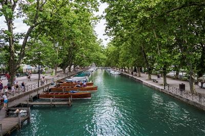 אנסי | אקספלורר